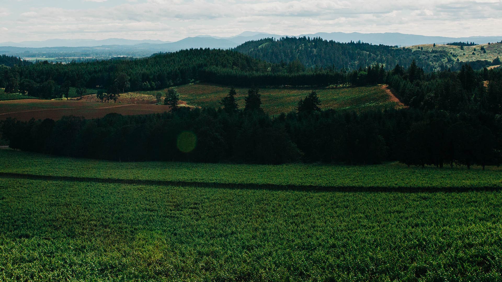 Coverage Area | Alyrica Networks